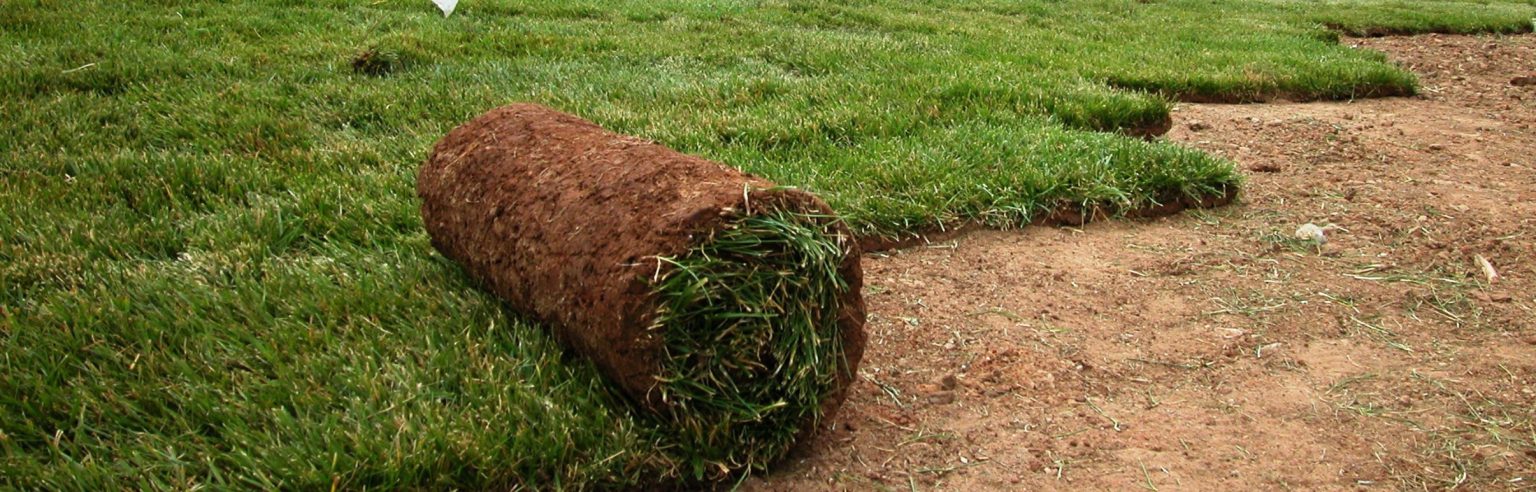 Wichita - Sod Shop